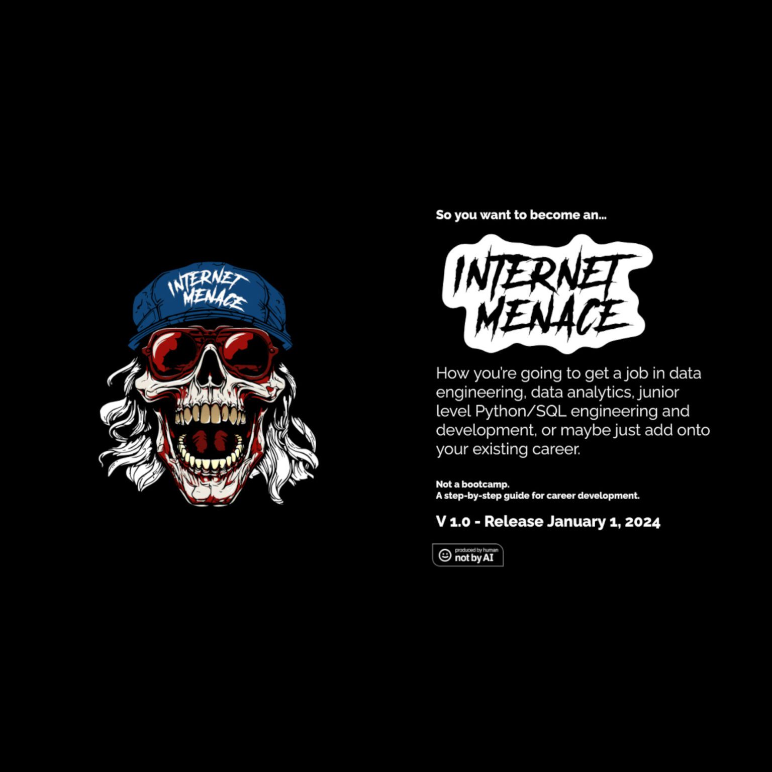 Data Engineering and Analytics Guide - Internet Menace